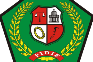 cropped-logo-kab-pidie-warna_(1).png