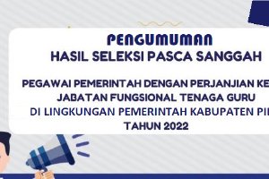 jadwal-seleksi-kompetensi-pegawai-pemerintah-dengan-perjanjian-kerja-tenaga-kesehatan-di ...